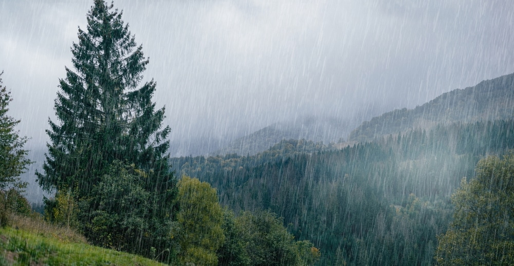 Best Rainy Day Things to do in Sequim | Winter Getaways 2025